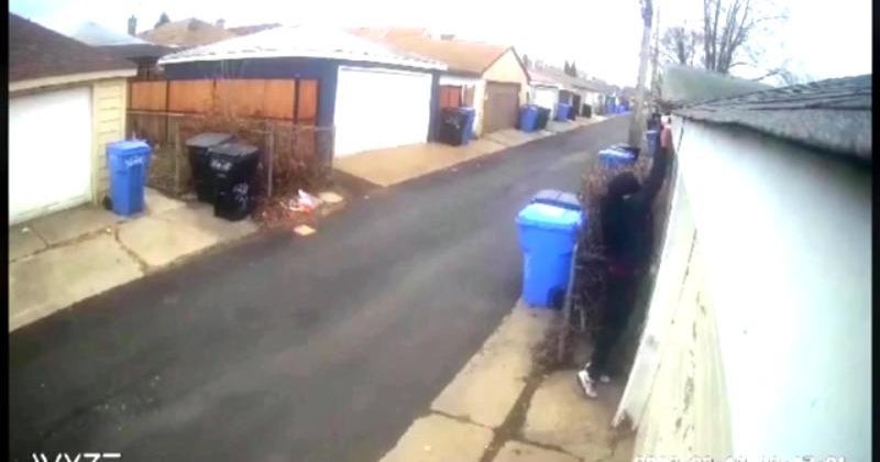 Video shows vandal cutting down security cameras in West Lawn - CBS Chicago