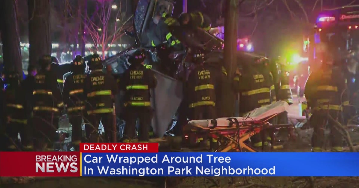 Car wrapped around tree in crash in Washington Park - CBS Chicago