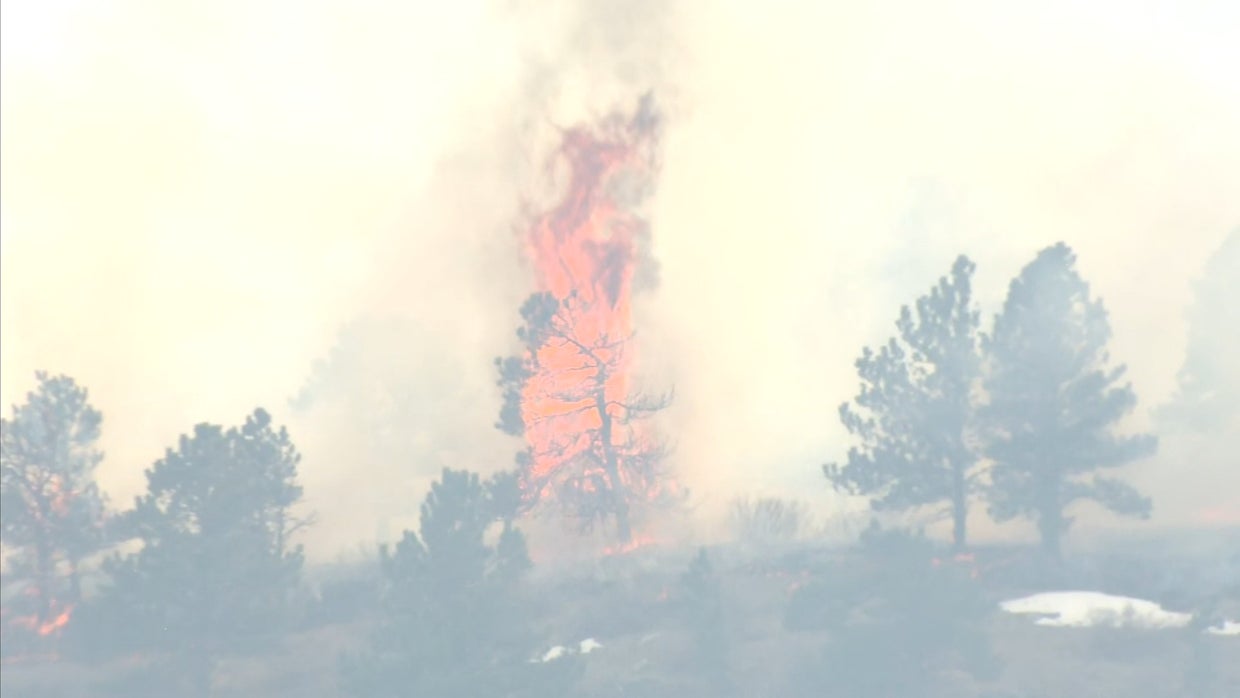NCAR Fire