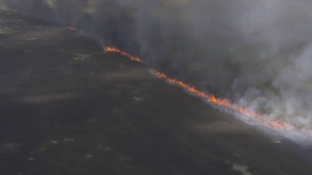 Stories About Brush Fire - CBS Miami