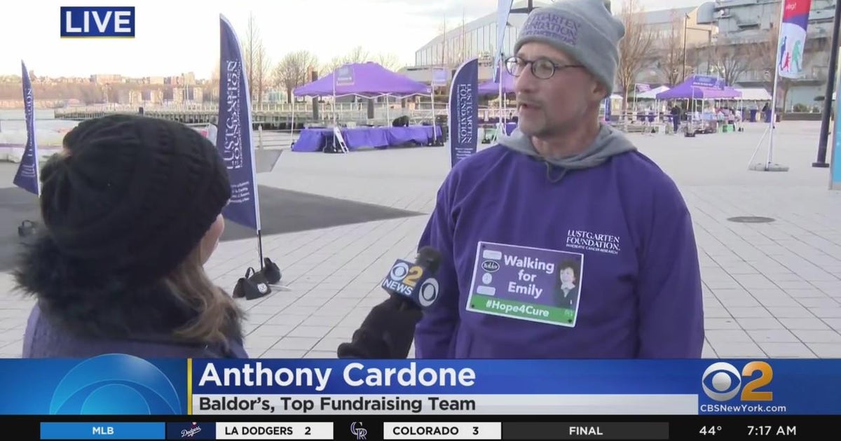 Lustgarten Foundation Pancreatic Cancer Walk: Donations make a ...