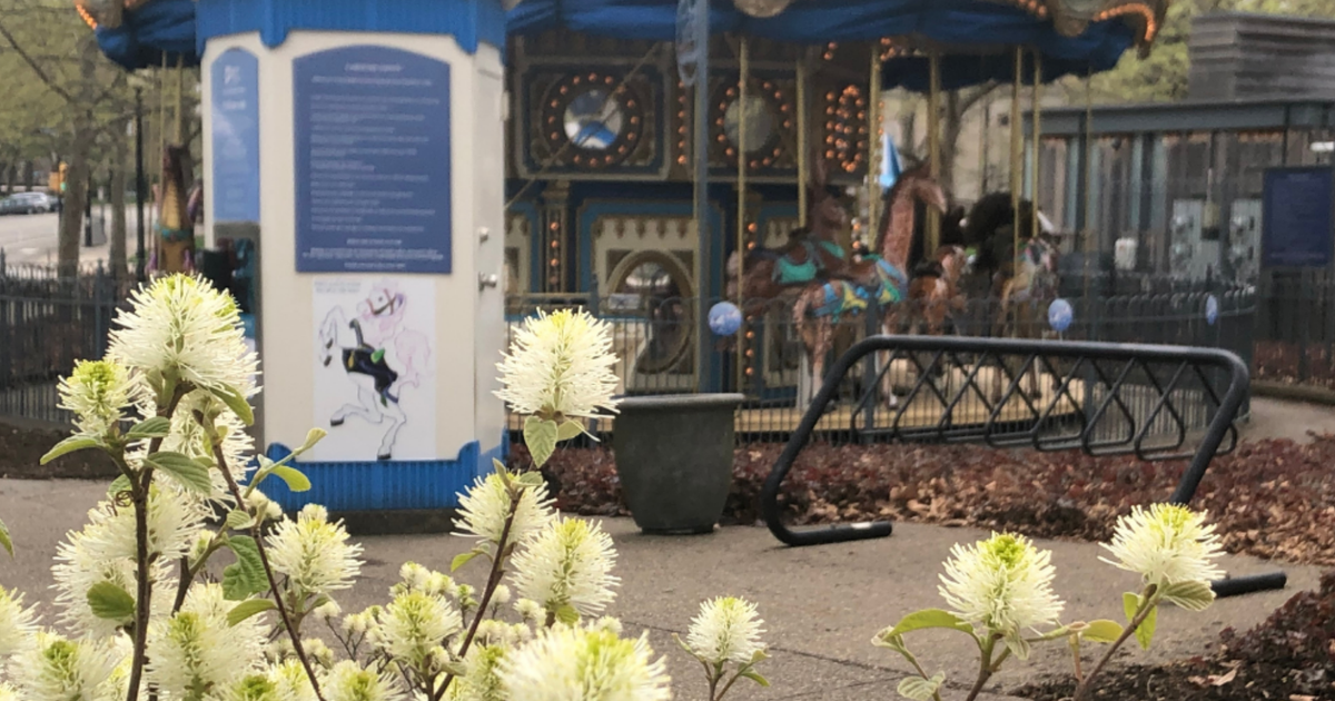 Carousel in Schenley Park opens for 16th season - CBS Pittsburgh