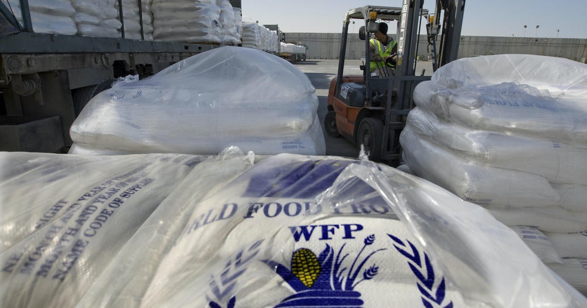 Conflict in Ukraine could harm global food supply, head of World Food ...