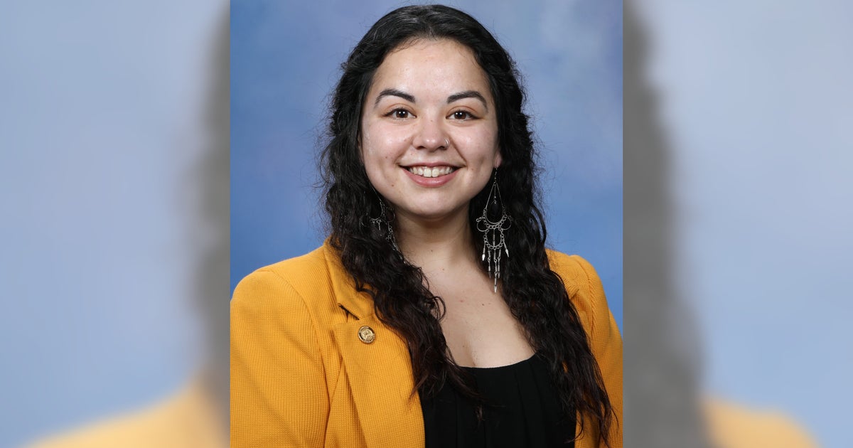 Rep. Mary Cavanagh Pleads Guilty To DWI, Aims For Sobriety - CBS Detroit