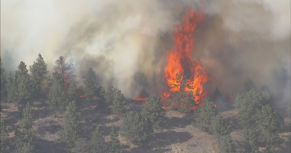 Mandatory Evacuations Ordered For Residents Near '37E' Wildfire That's ...