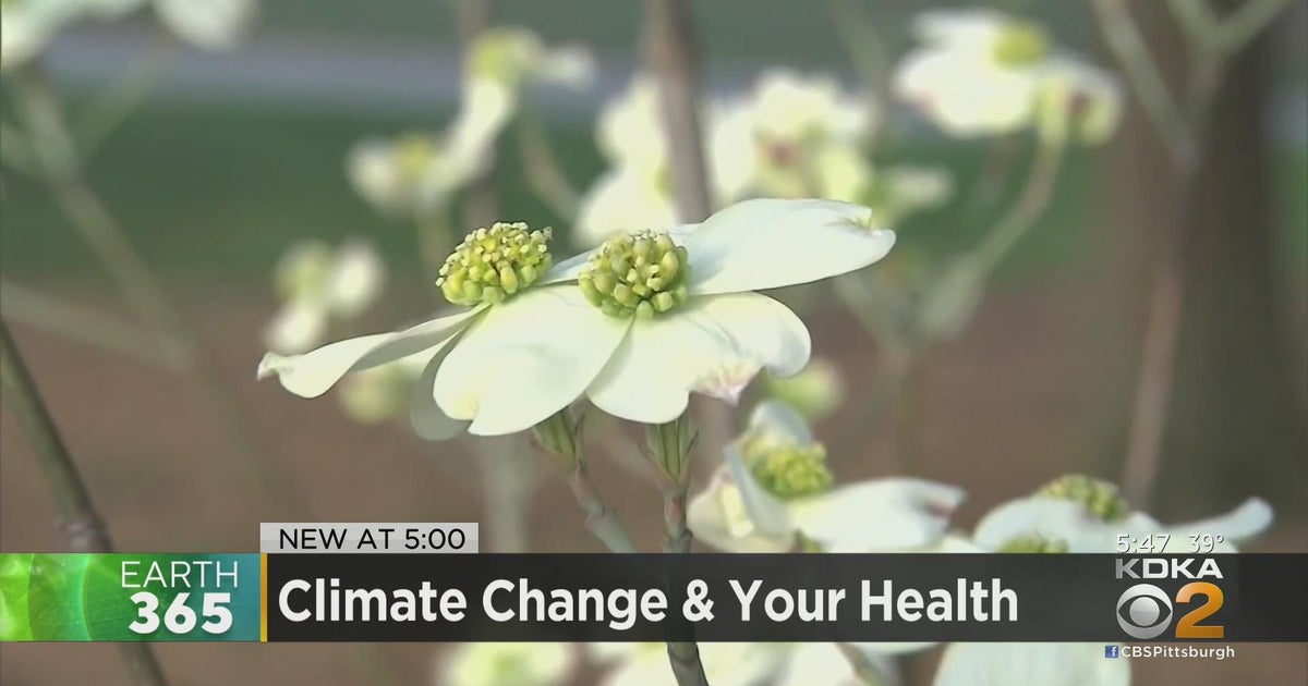 Earth 365: Climate Change And Allergies - CBS Pittsburgh