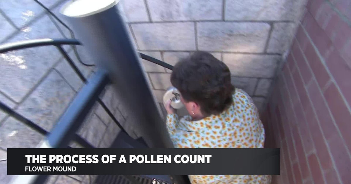 How is pollen counted in North Texas? - CBS Texas