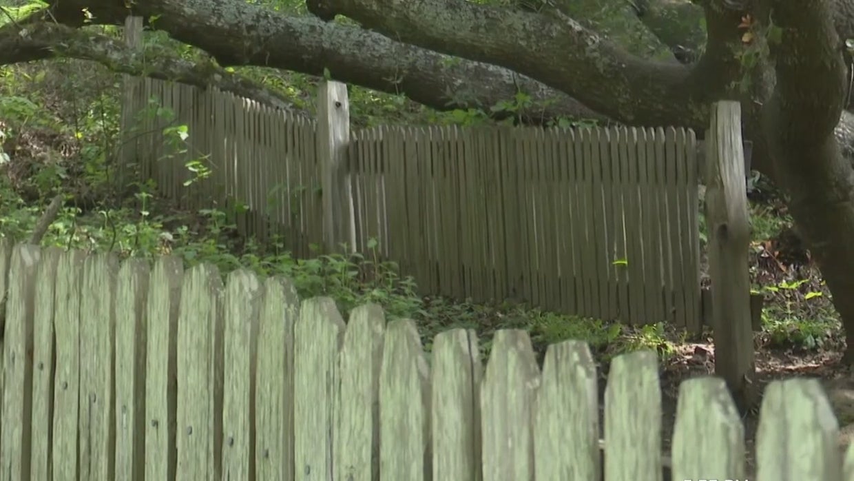 Over A Century Later, Point Reyes Trail Still Shows Where 1906 ...