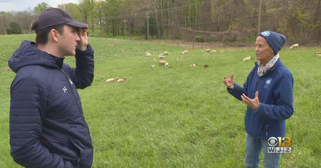 Chesapeake Bay Foundation's Clagett Farm Shows Farmers How To Improve ...