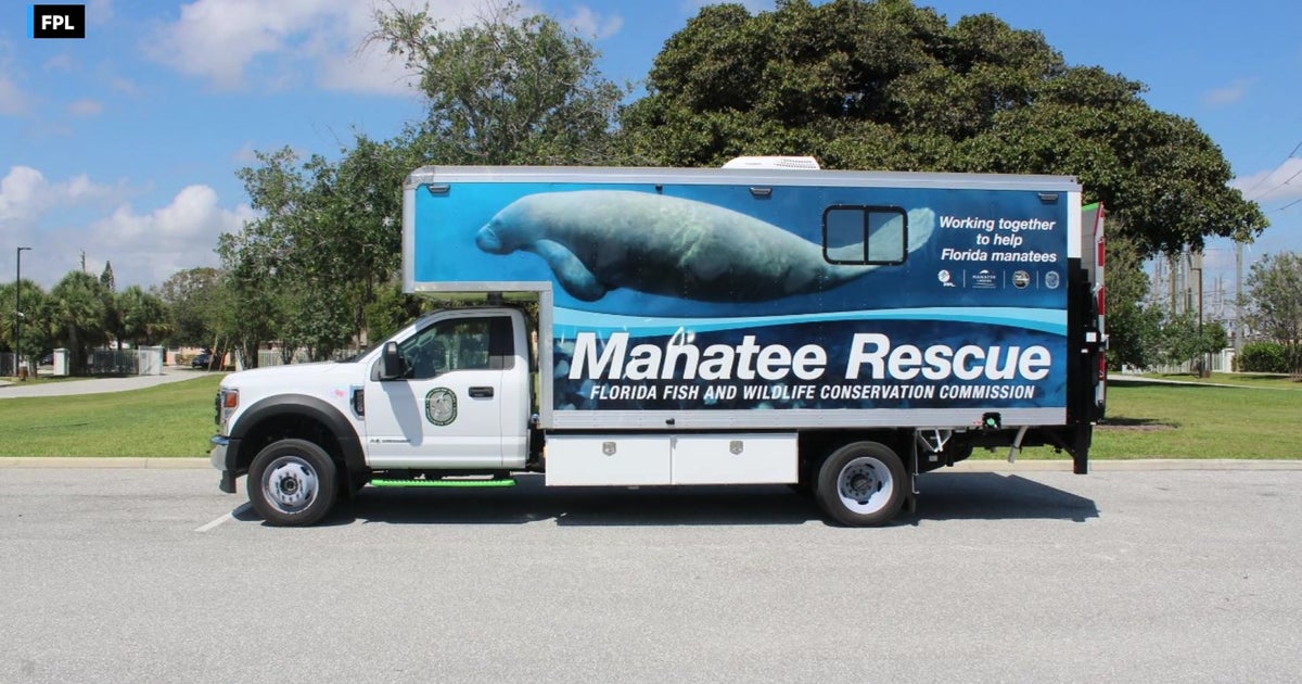 FPL Donates Manatee Transport Truck For Florida Fish & Wildlife ...
