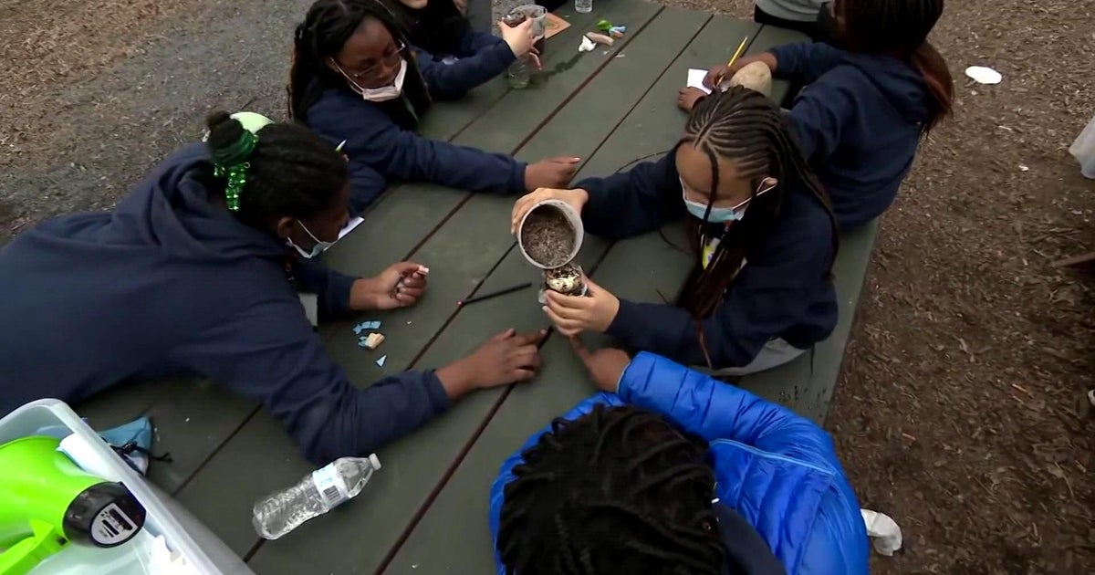 "Green Girls Empowered By ING" teaches young women in NYC how to ...