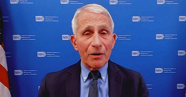 Dr. Fauci: Mask rules shouldn't be decided by "a judge with no ...