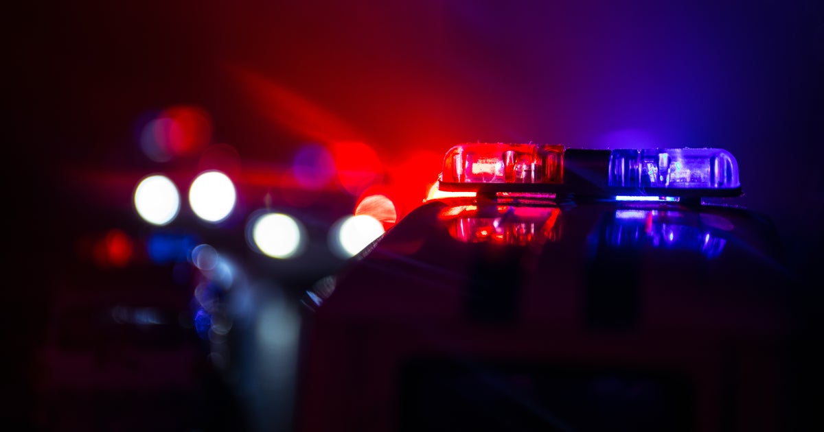 Drunk Driver Arrested After Fleeing Police On Lodge Freeway - CBS Detroit