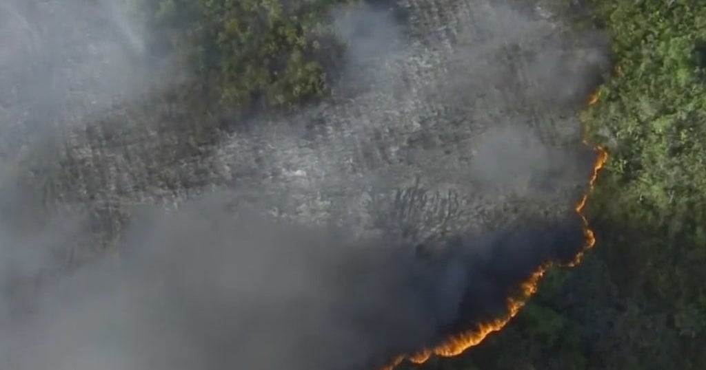 Florida City Brush Fire Spreads To More Than 1,000 Acres, 30% Contained ...