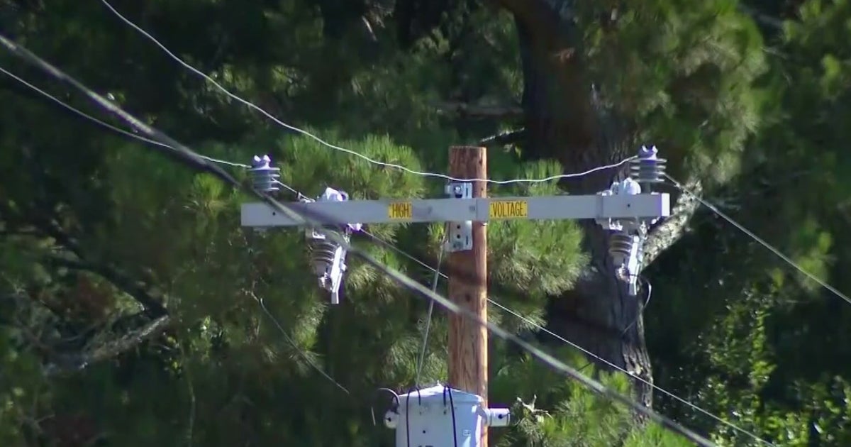 'Chaos On The Horizon': Concern Grows Over Potential Summer Power ...