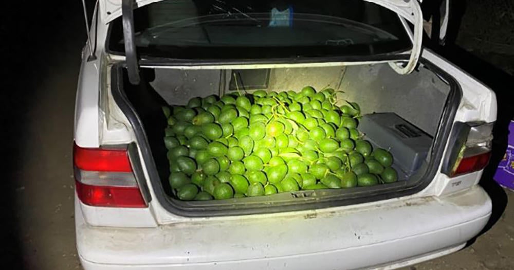 Lompoc man arrested after Santa Barbara County deputy finds trunk ...