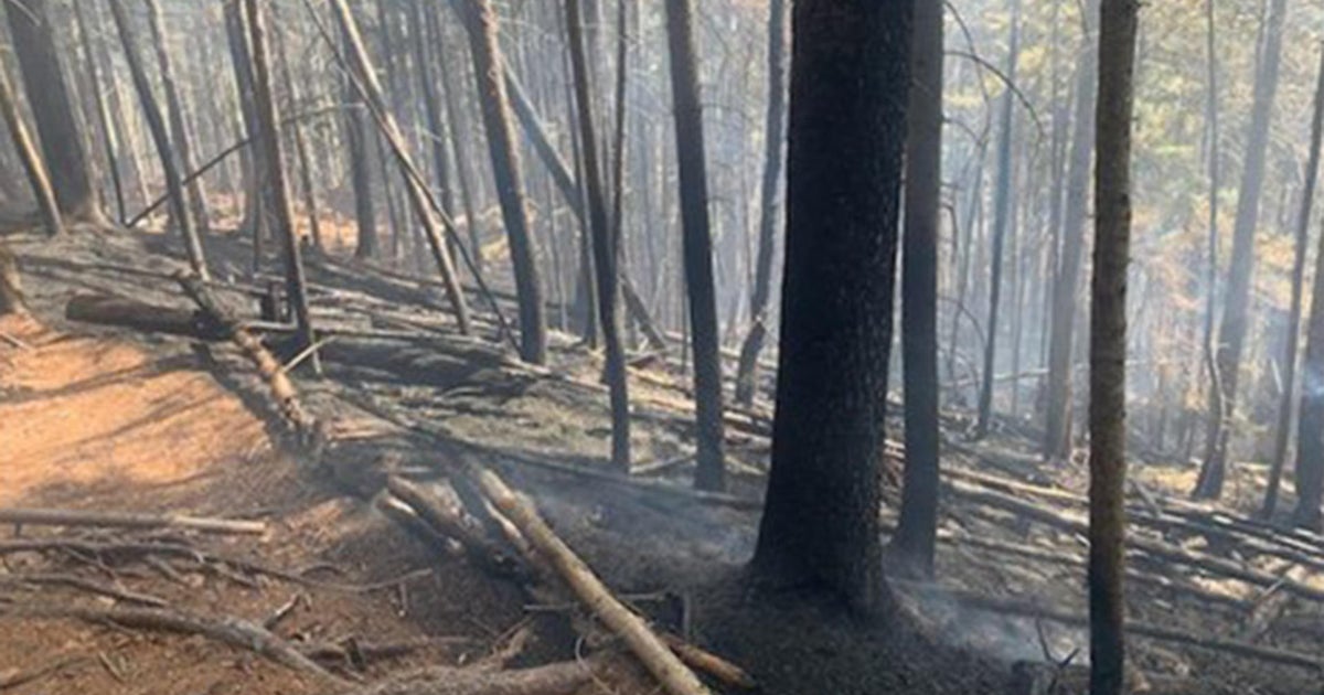 Bemis fire in New Hampshire's Crawford Notch, White Mountain forest is ...