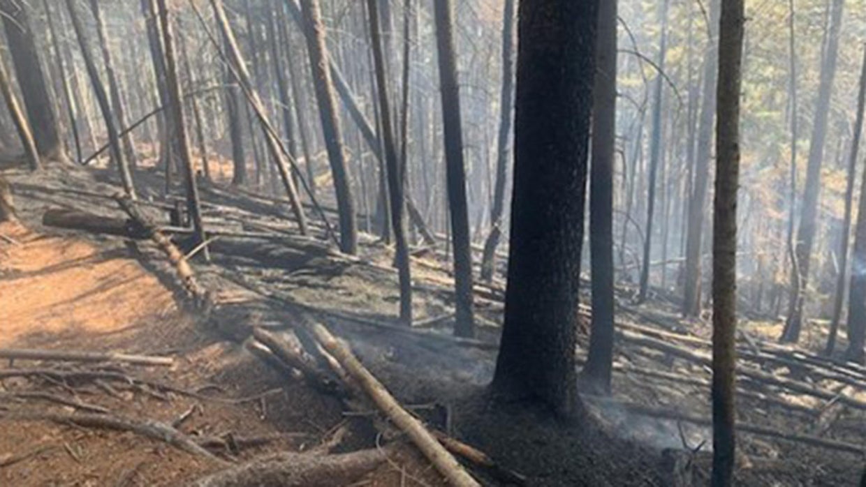 Bemis fire in New Hampshire's Crawford Notch, White Mountain forest is ...
