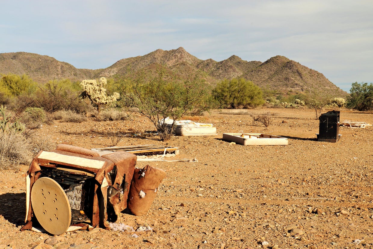 America's 50 most rat-infested cities, ranked