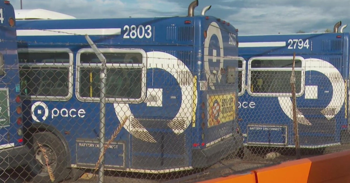 New 'Pace Bus Plus' pass will connect both Pace, CTA buses - CBS Chicago