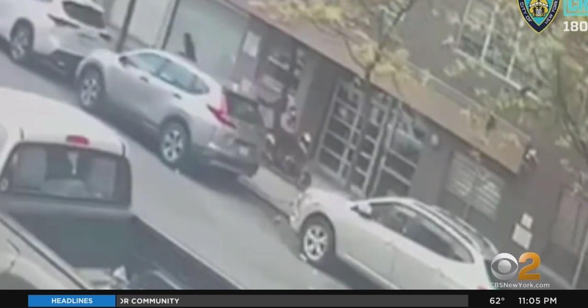 Sources: NYPD looking for 2 males for deadly stray bullet shooting ...