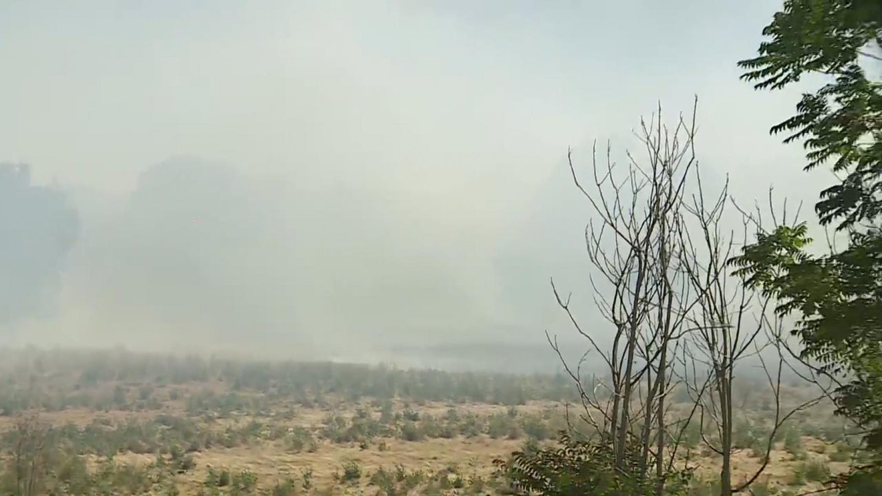 Stories About Grass Fire - CBS Sacramento