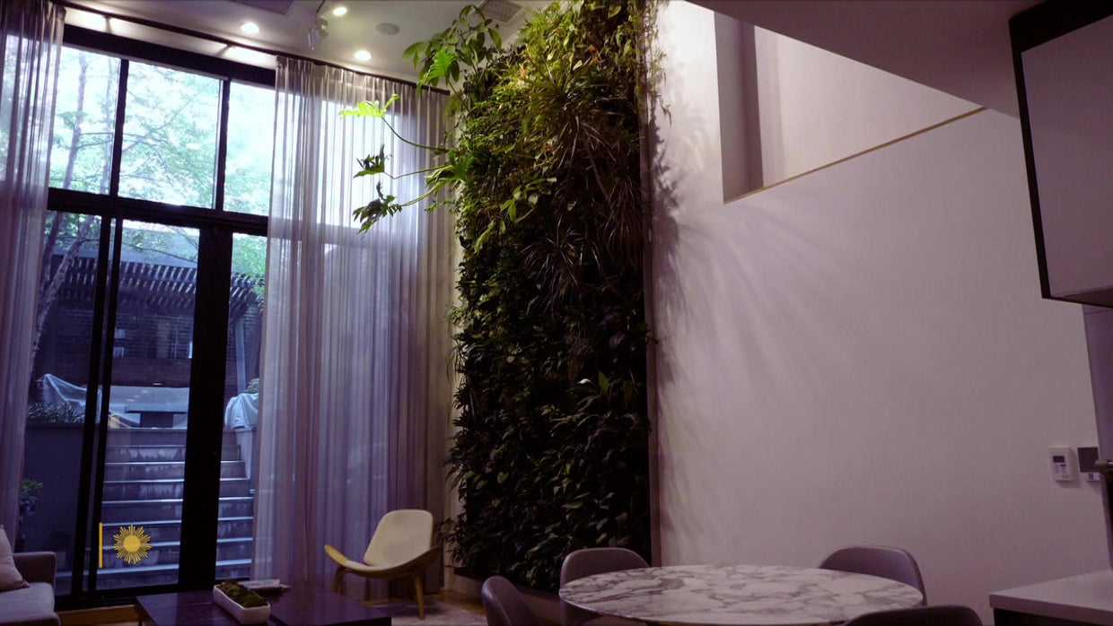 Designing plant walls for home and office - CBS News