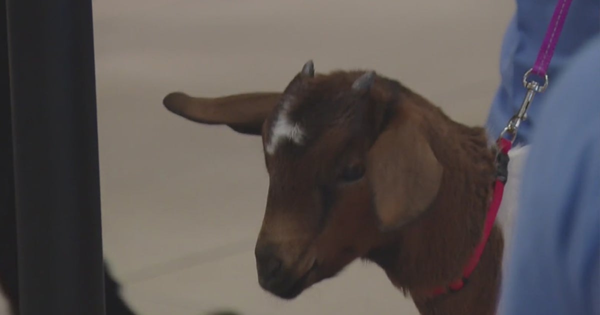 St. Joseph Hospital Caregivers Treated To Special 'Thank You' With ...