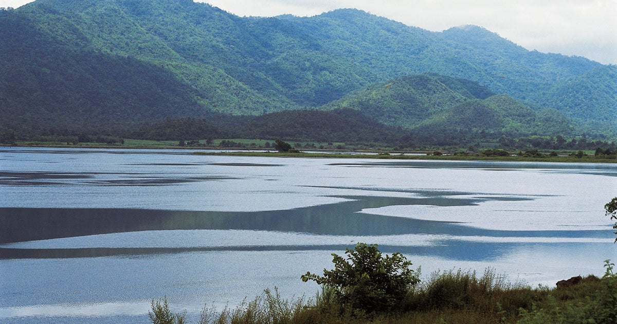 British citizen Shane Looker convicted of 2014 murder of Thai woman ...