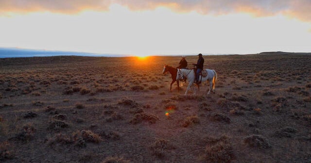 Wyoming cattle rancher: We're not in it for the money - CBS News