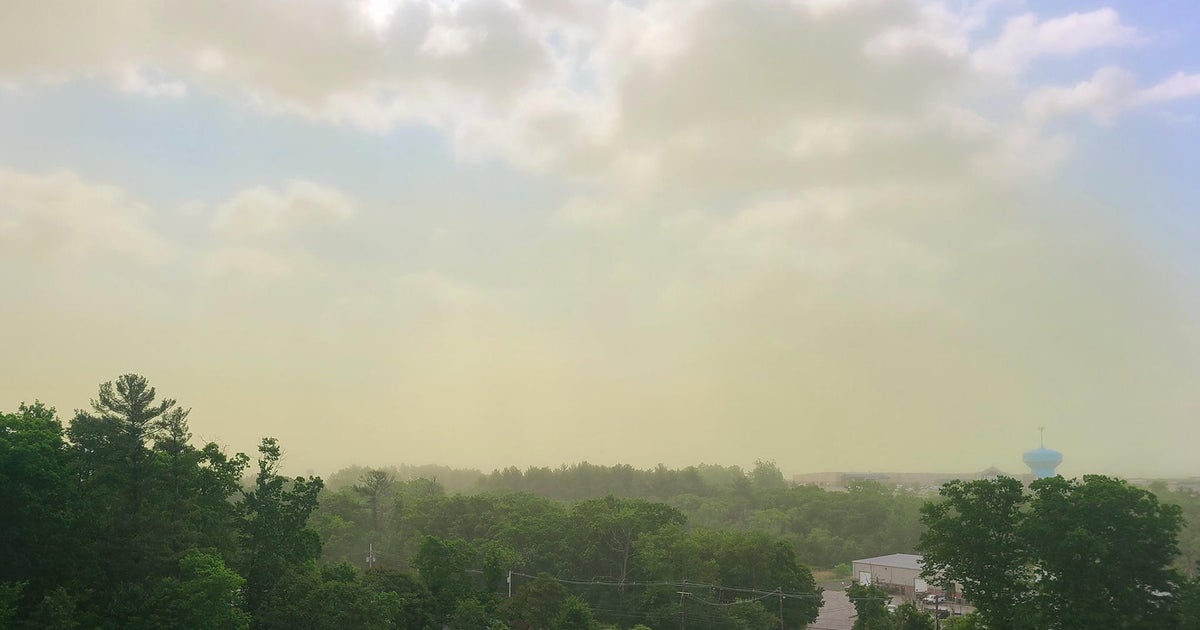 Dramatic temperature drop followed by "pollen storm" in Boston area ...