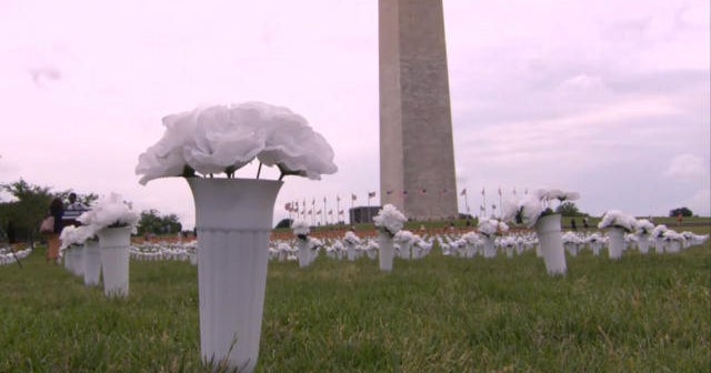 National Mall memorial honors gun violence victims - CBS News