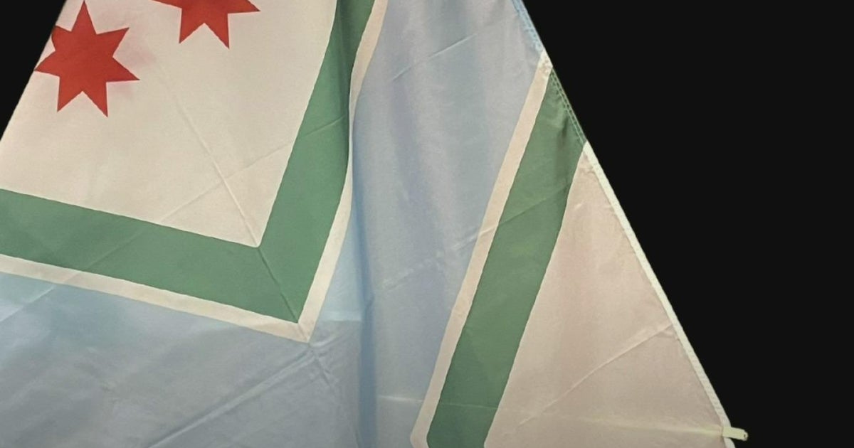 Cook County unveils its new flag designed by Glenbrook South student ...