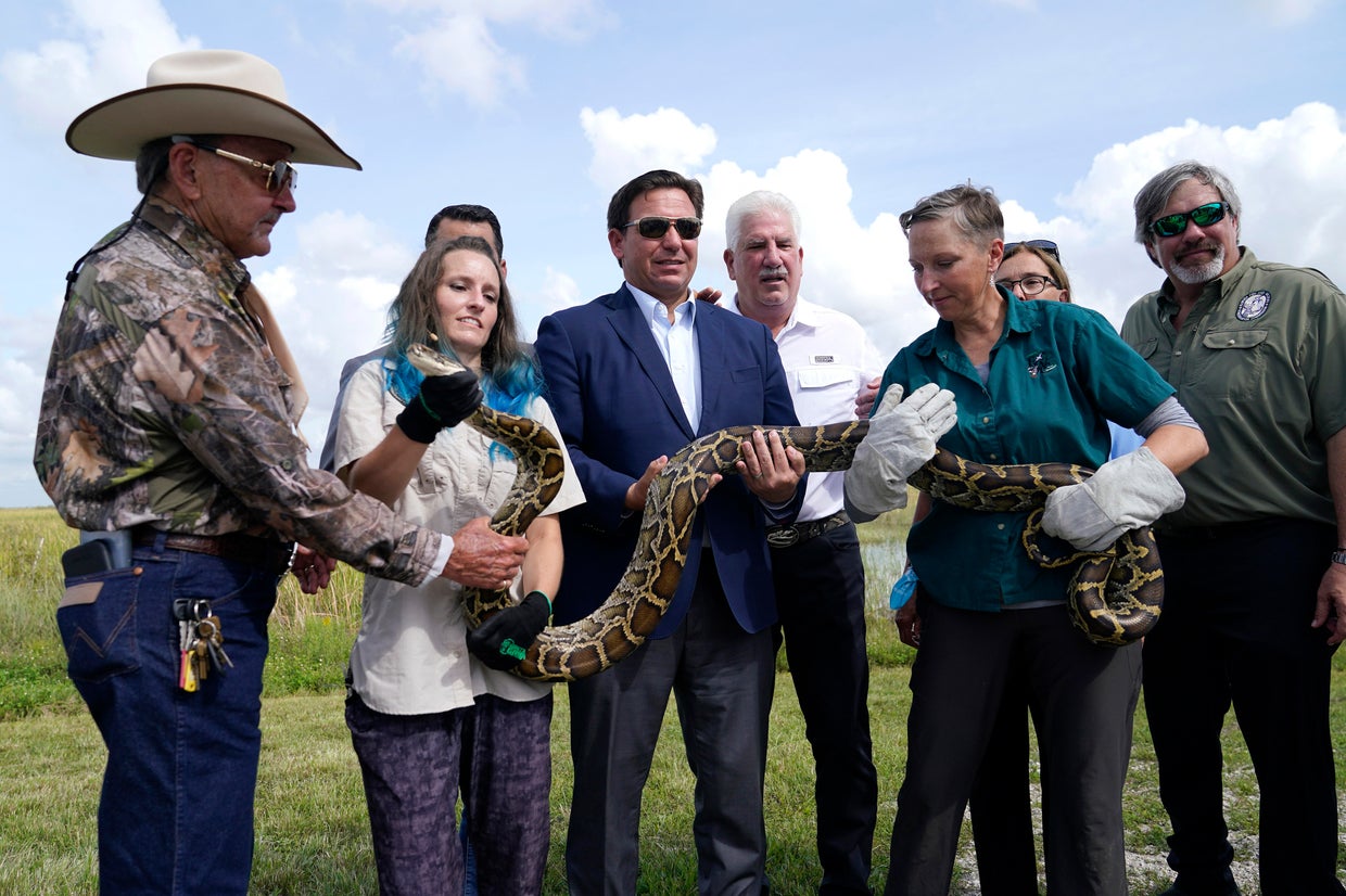 With a 10-foot snake by his side, Florida governor announces prize ...