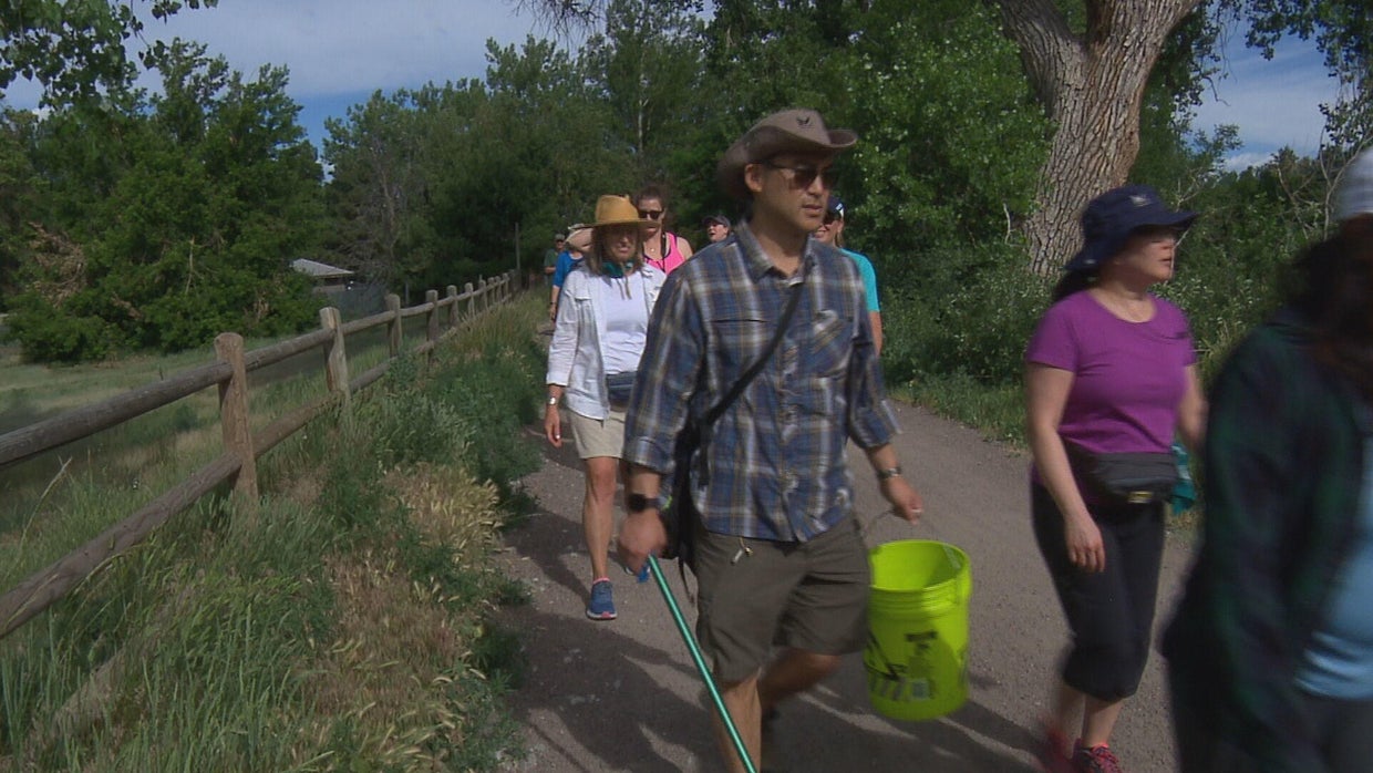 Slow exploration reveals a lot of wildlife along the High Line Canal ...