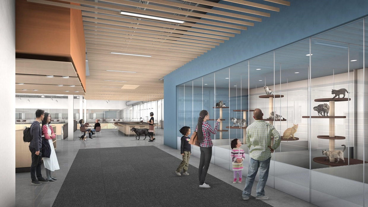 Animal Humane Society receives $6 million donation from volunteers ...