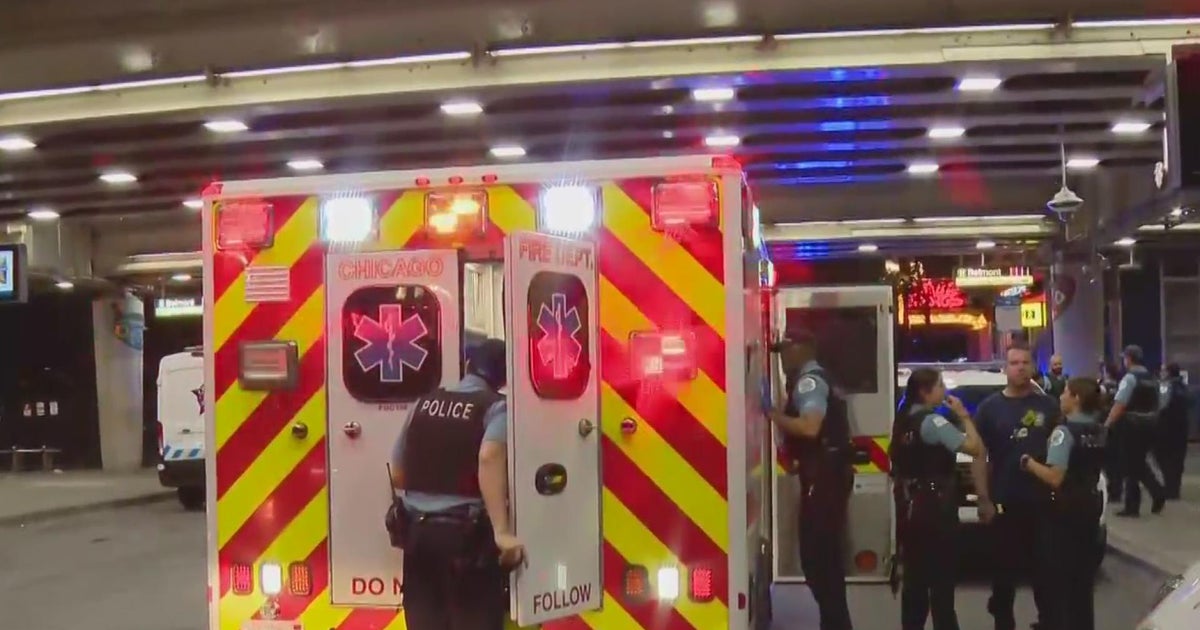 3 people in custody after 2 robberies at CTA Red Line Belmont Avenue ...