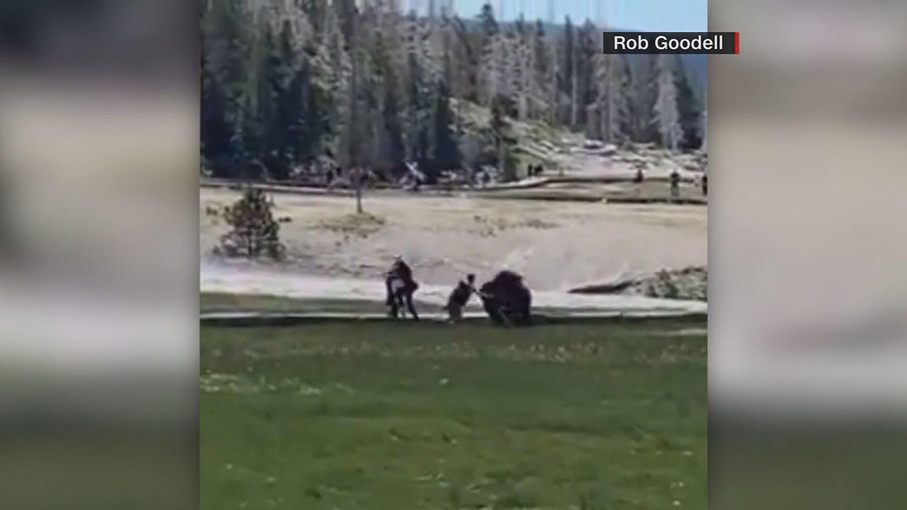 Stories About Yellowstone National Park - CBS Colorado