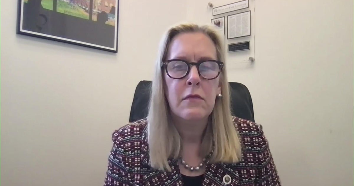 Nancy Rotering provides perspective of Highland Park parade shooting ...