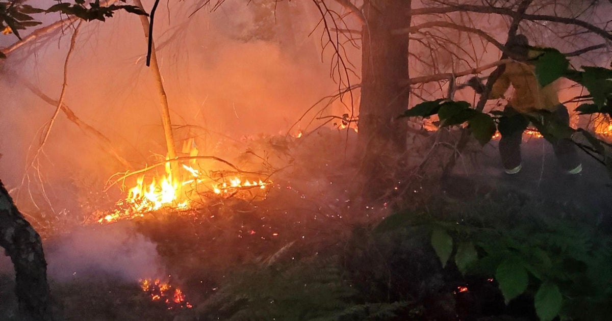 Gardner brush fire believed to have been sparked by July 4th fireworks ...