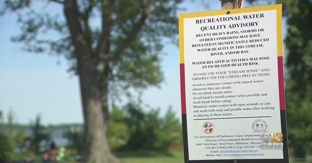 Bacteria Levels Prompt Recreational Water Advisory At Cox's Point Park ...
