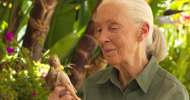 Jane Goodall honored with a Barbie - CBS News