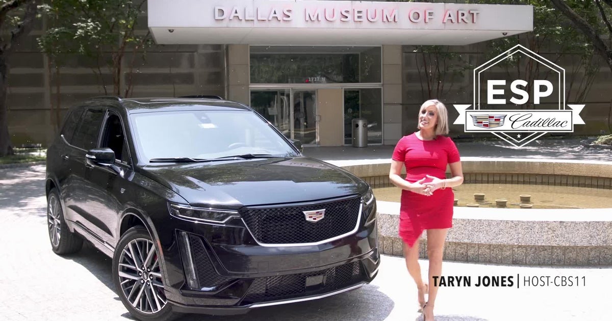 Eat See and "Sparkle" at the Dallas Museum of Art - CBS Texas