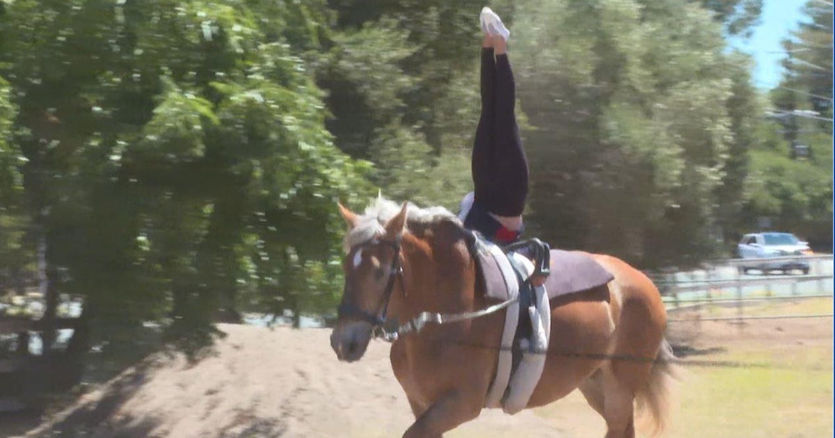 Novato's Nicole Shroyer vaulting to new heights - CBS San Francisco