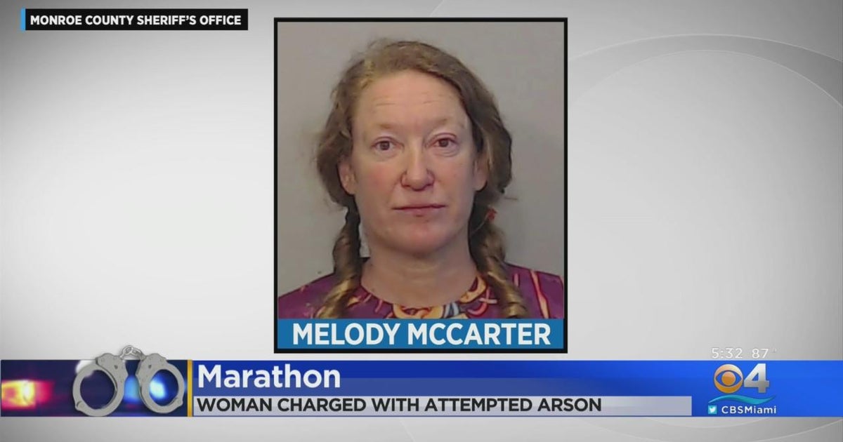 Florida woman charged, arrested for attempted arson on her boyfriend ...