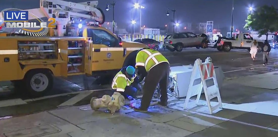 Woman driving with a rabbit crashes into Lyft driver, then hits utility ...