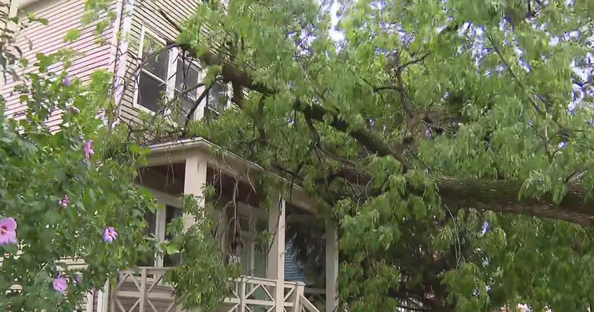 Quick, strong storms leave trail of damage around Chicago area - CBS ...