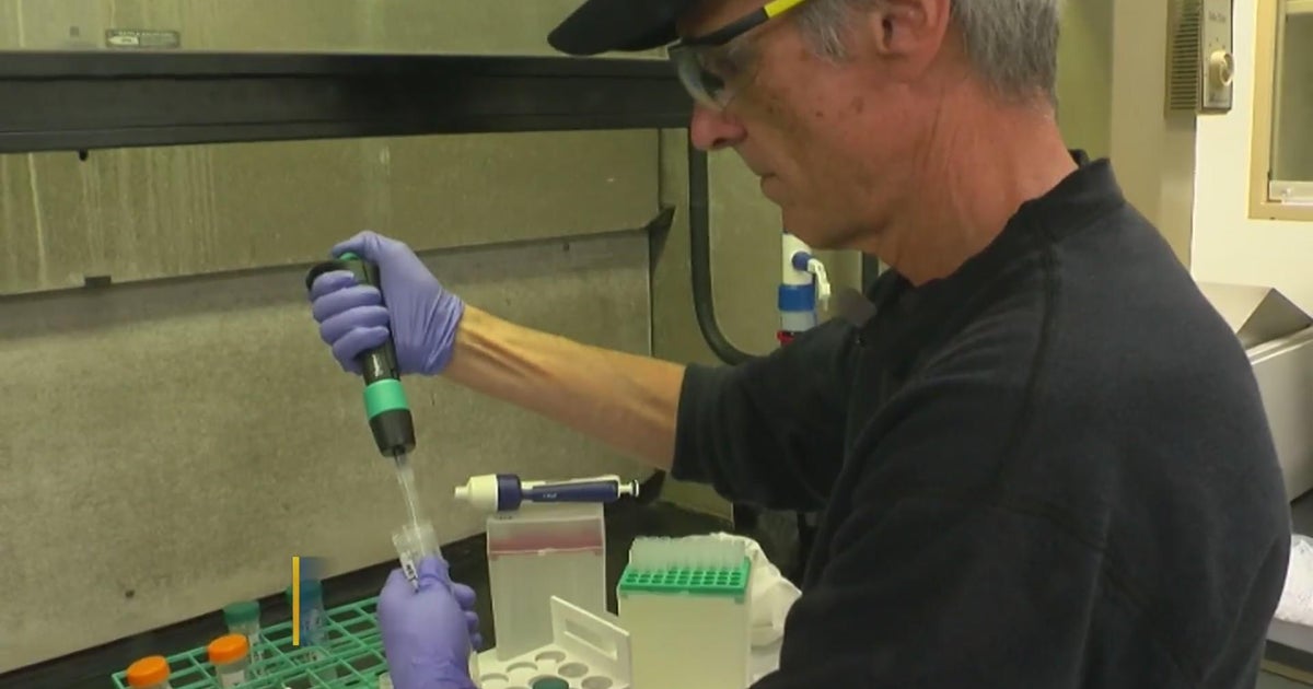 COVID wastewater data shows virus levels are staying stable in Twin ... COVID wastewater data shows virus levels are staying stable in Twin ...