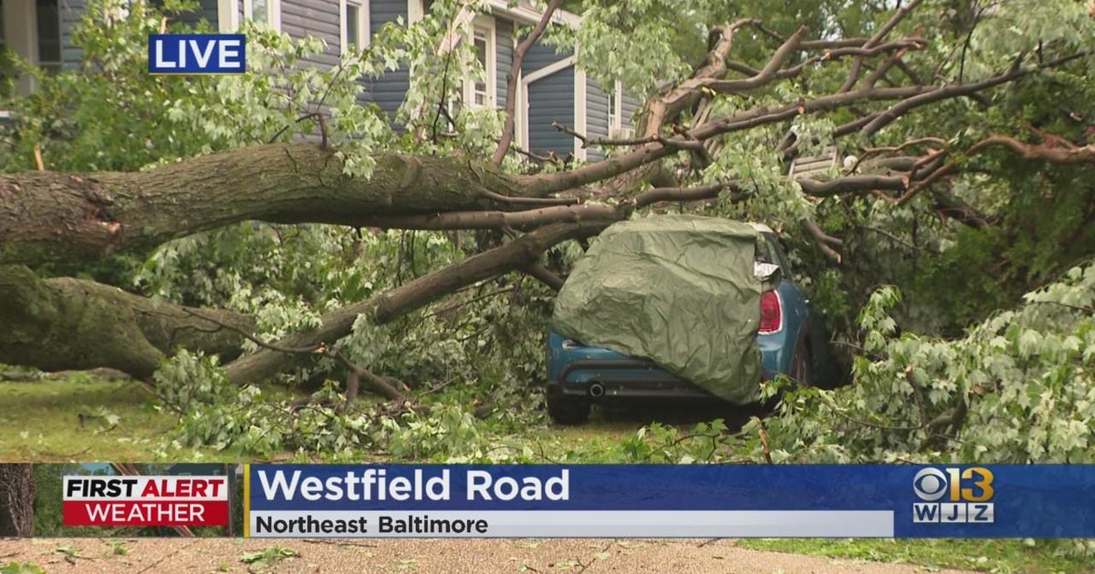 Severe storms knock down trees, damage homes in Northeast Baltimore ...