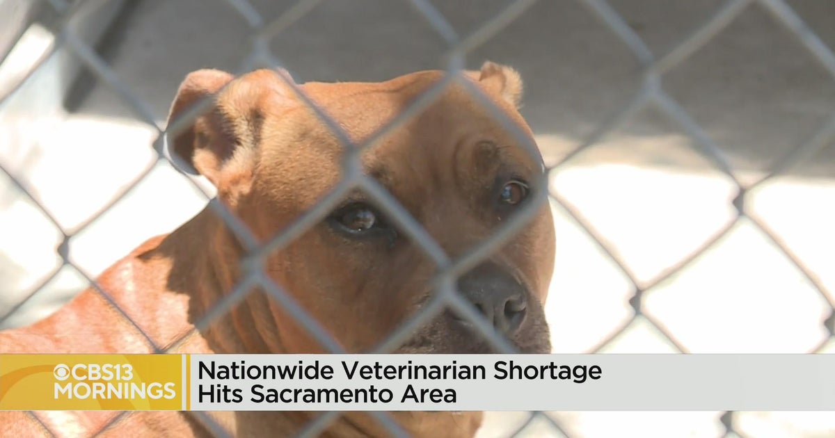 CBS13 News AM News Update - 8/16/22 - CBS Sacramento